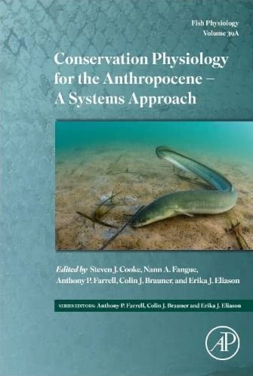 Fish Physiology, Volume 39A | NHBS Academic & Professional Books