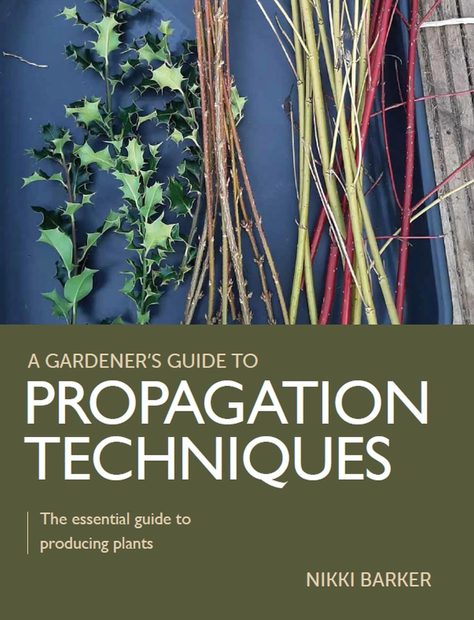 A Gardener's Guide to Propagation Techniques: The Essential Guide to ...