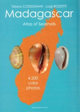 Madagascar: Atlas of Seashells / Madagascar: Atlante delle Conchiglie ...