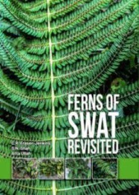 Ferns of Swat Revisited | NHBS Field Guides & Natural History