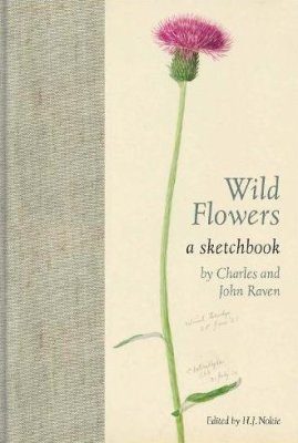 Wild Flowers: A Sketchbook by Charles and John Raven | NHBS Good Reads