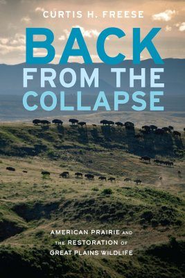 Back from the Collapse | NHBS Academic & Professional Books