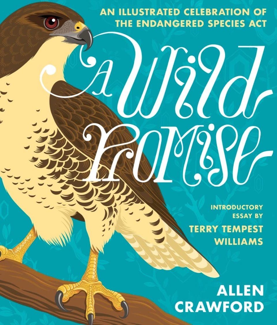 A Wild Promise: An Illustrated Celebration of the Endangered Species ... A Wild Promise: An Illustrated Celebration of the Endangered Species ...