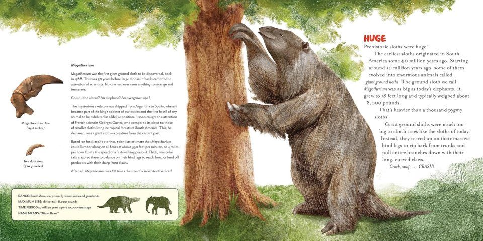 The Upside-Down Book of Sloths | NHBS Bookstore