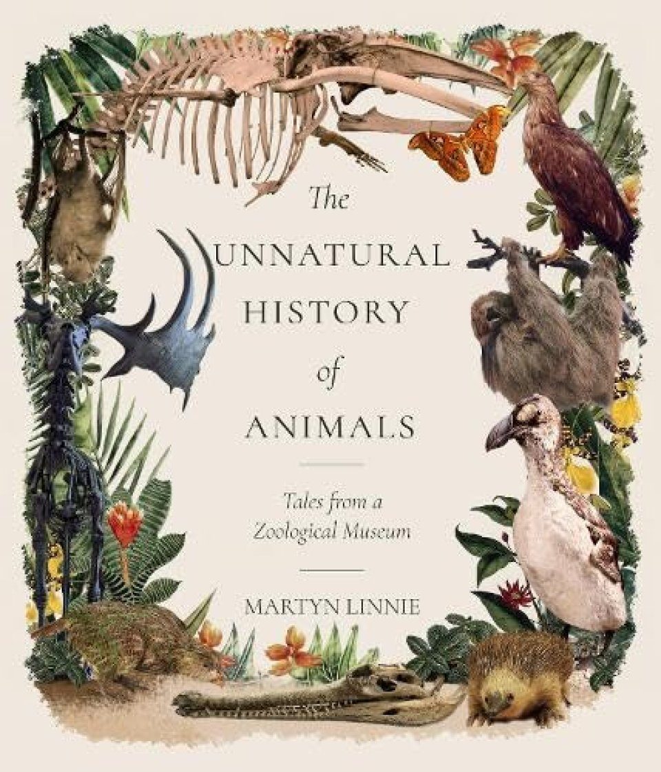 The Unnatural History of Animals: Tales from a Zoological Museum | NHBS ...