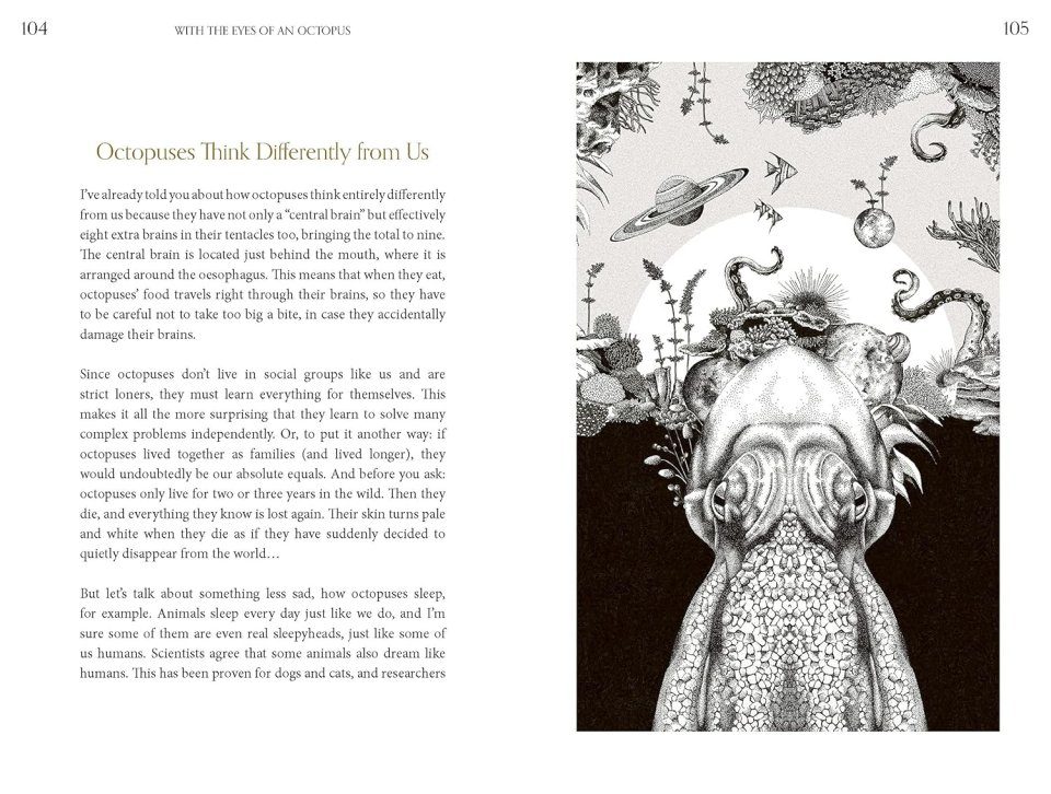 Amazing Octopus: Creature From an Unknown World | NHBS Bookstore