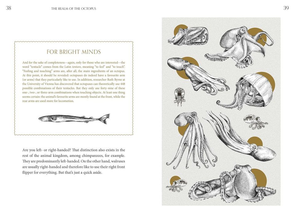 Amazing Octopus: Creature From an Unknown World | NHBS Bookstore