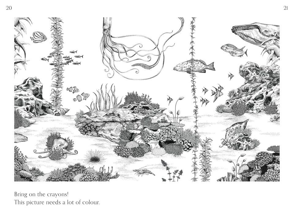 Amazing Octopus: Creature From an Unknown World | NHBS Bookstore