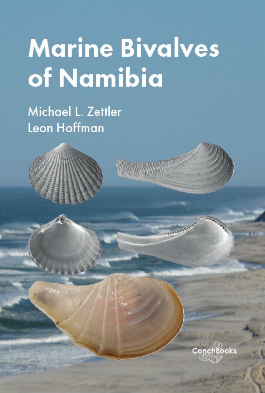 Marine Bivalves of Namibia | NHBS Academic & Professional Books