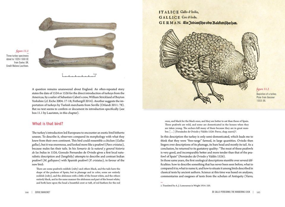 Exploring the History of Turkey Management and Domestication | NHBS ...
