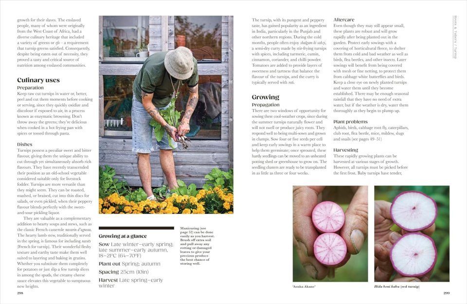 The Seed Hunter: Discover the World's Most Unusual Heirloom Plants ...