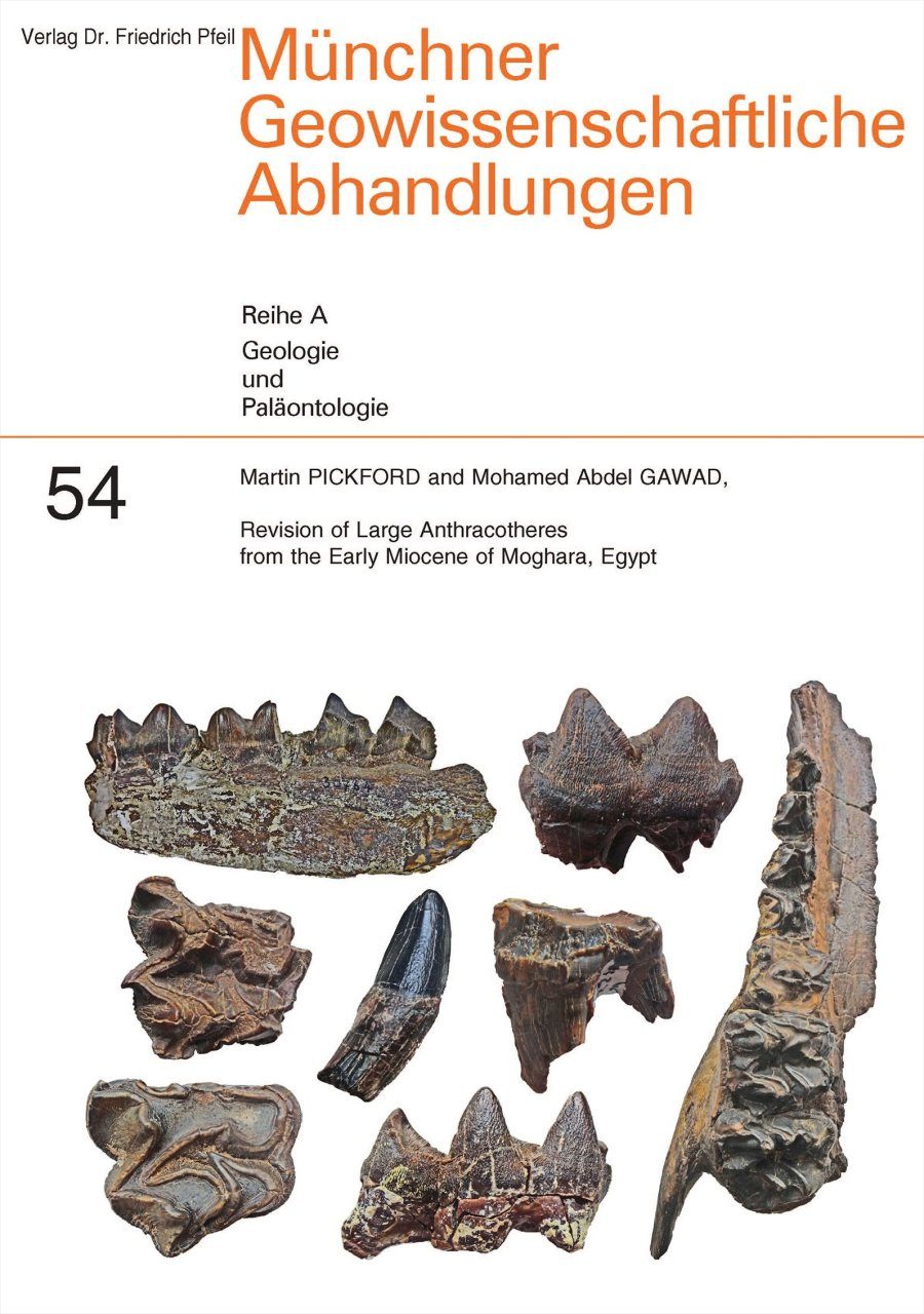 Revision of Large Anthracotheres from the Early Miocene of Moghara ...