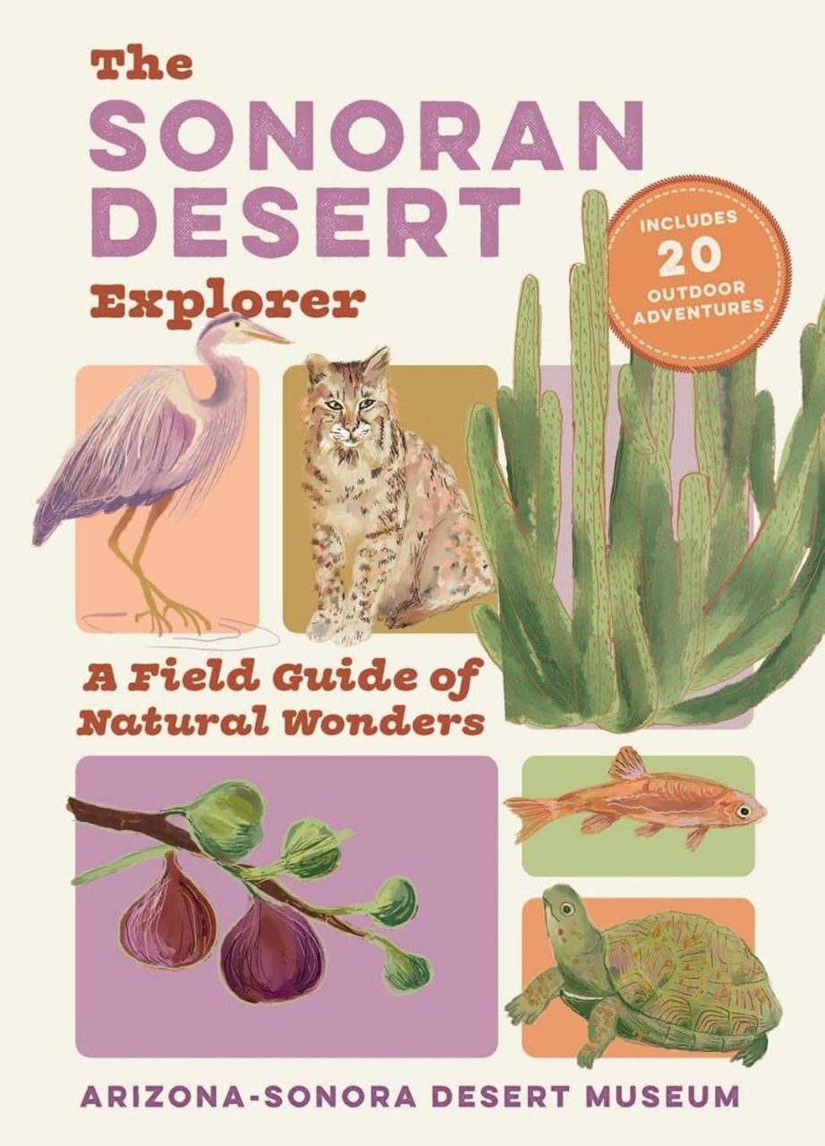 The Sonoran Desert Explorer: A Field Guide of Natural Wonders | NHBS ...