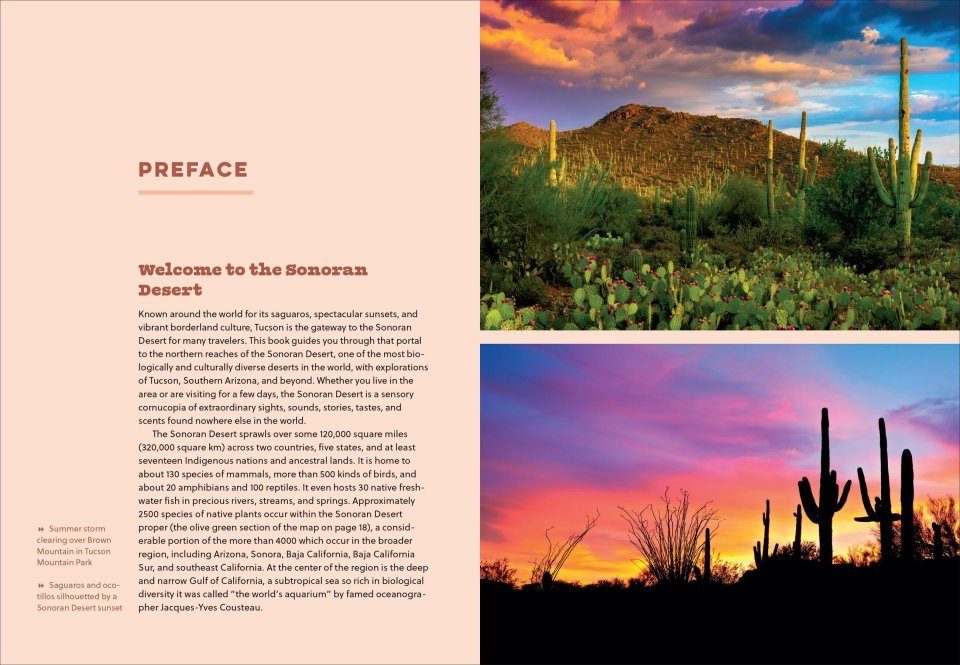 The Sonoran Desert Explorer: A Field Guide of Natural Wonders | NHBS ...