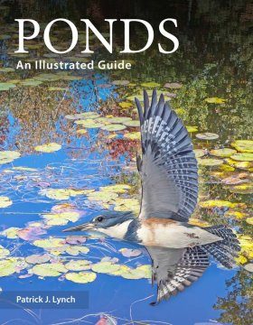 Ponds: An Illustrated Guide | NHBS Field Guides & Natural History