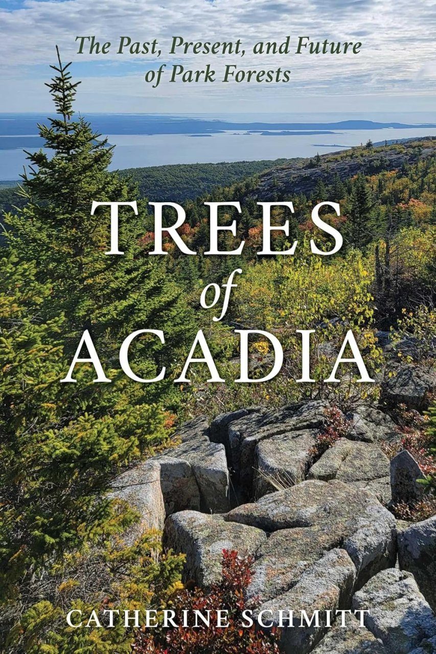 Trees of Acadia: The Past, Present, and Future of Park Forests | NHBS ...