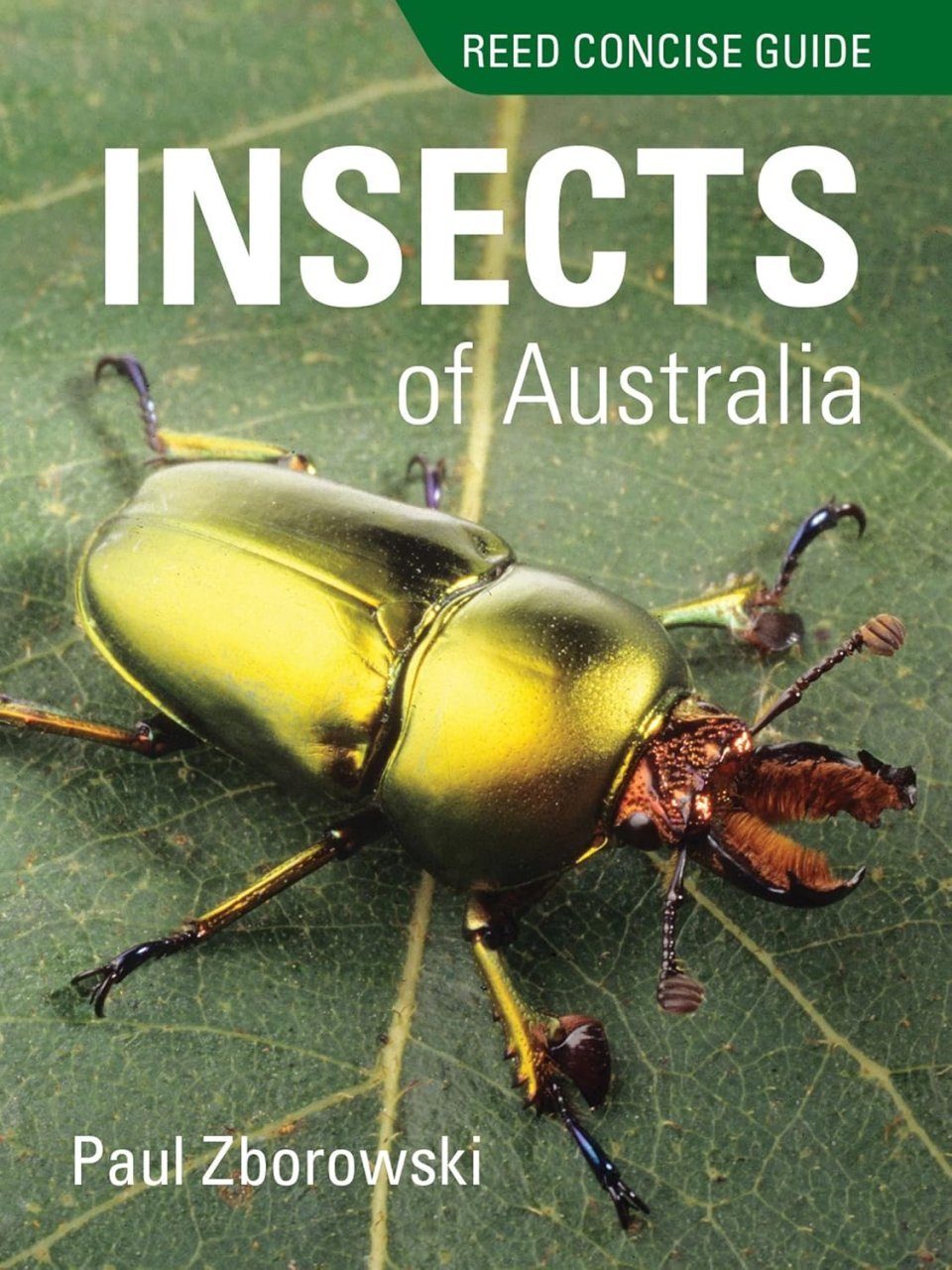 Insects of Australia | NHBS Field Guides & Natural History