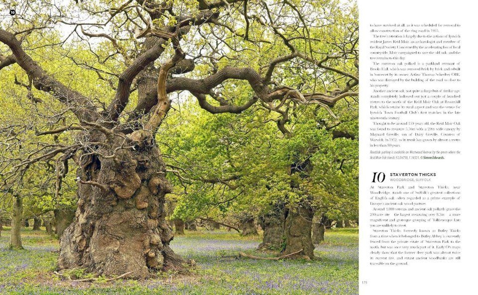 The Ancient Tree Explorer: Over 300 Heritage Trees and Forests in ...