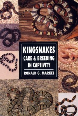 Kingsnakes: Care and Breeding in Captivity | NHBS Academic ...