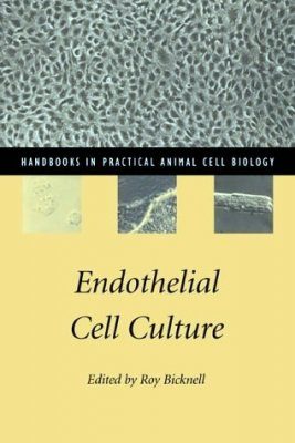Endolethial Cell Culture | NHBS Academic & Professional Books