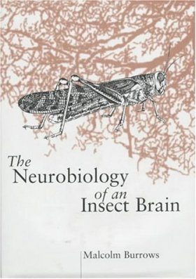 The Neurobiology of an Insect Brain | NHBS Academic & Professional Books