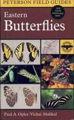 Peterson Field Guide to Eastern Butterflies | NHBS Field Guides ...