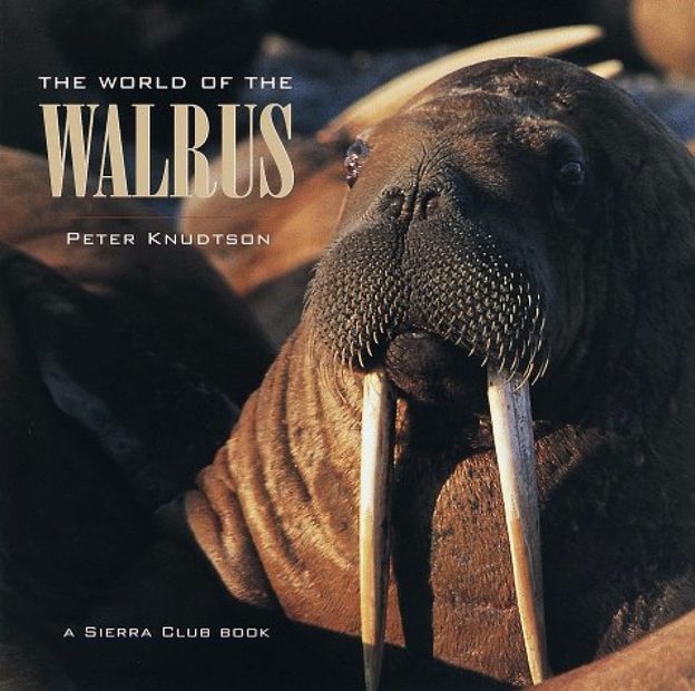 The World of the Walrus | NHBS Academic & Professional Books
