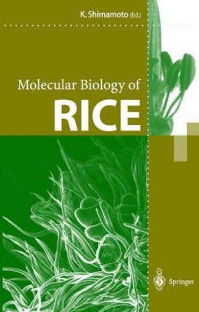 Molecular Biology of Rice | NHBS Academic & Professional Books