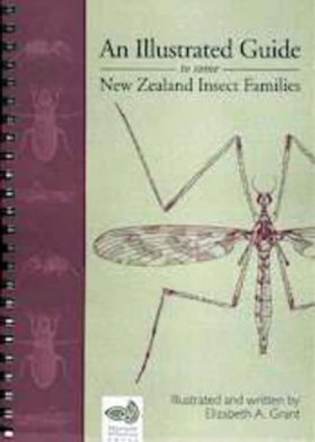 An Illustrated Guide to some New Zealand Insect Families | NHBS Field ...