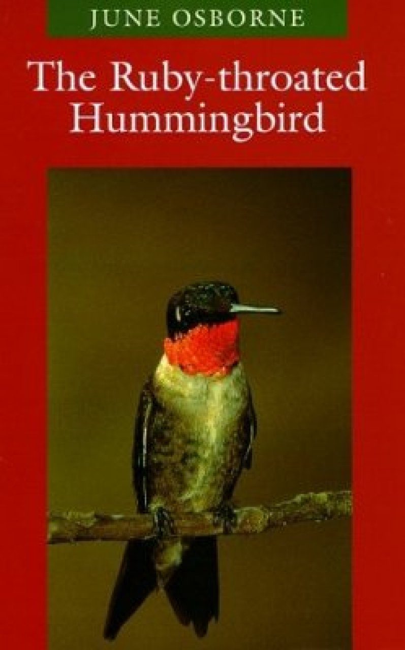 The Ruby-Throated Hummingbird | NHBS Academic & Professional Books