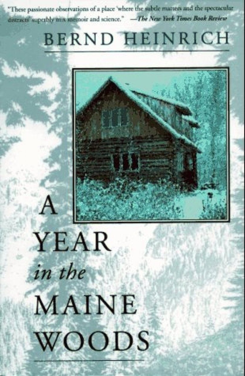 A Year in the Maine Woods | NHBS Academic & Professional Books